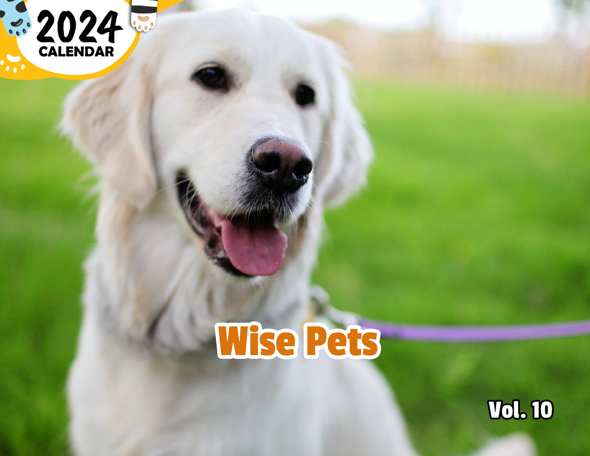 Wise Pets Volume Ten: 2024 Wall Calendar (Published) – Praise My Pet!